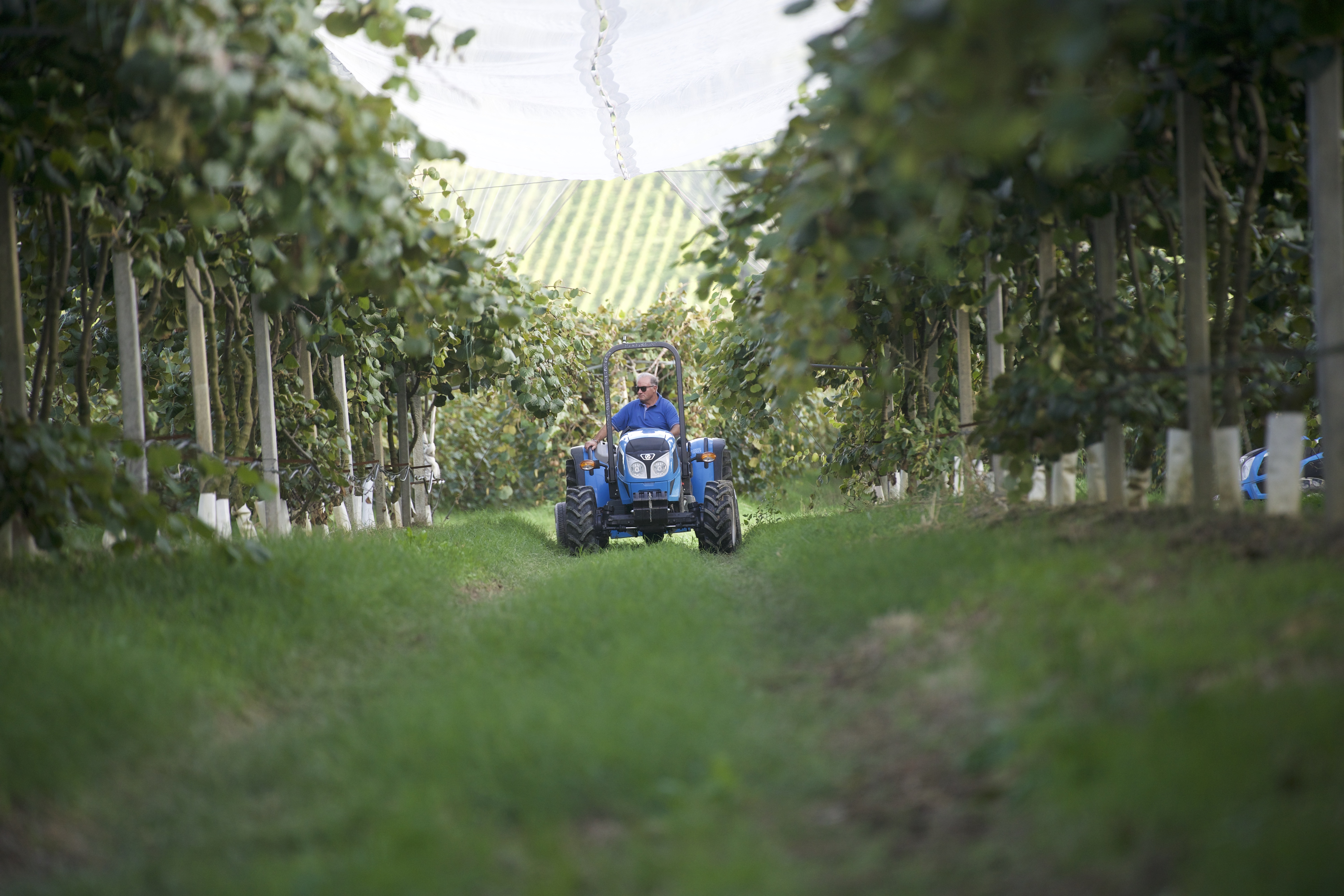 Insights and Forecasts: Extreme maneuverability in tractors: goal ...